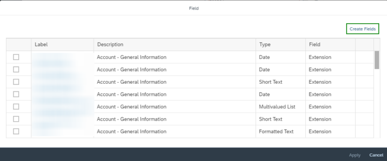 C4CIsEasy - SAP C4C Adaption Customer Extension fields