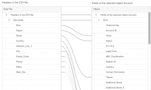 C4CIsEasy - SAP C4C Data Workbench Creating Objects