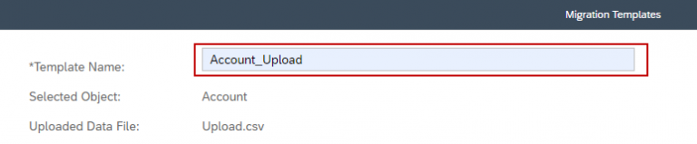 SAP Sales Cloud - C4C Is Easy - Data Workbench - Migration Templates