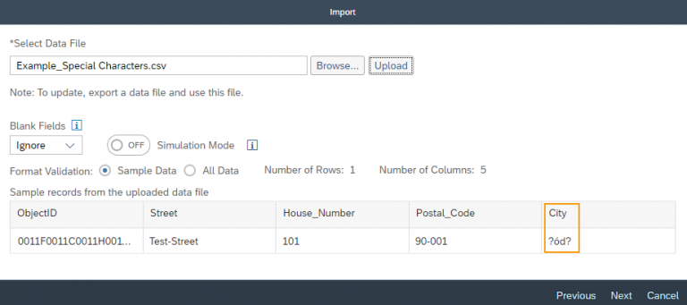 SAP Sales Cloud - C4C Is Easy - Data Workbench - Special Characters